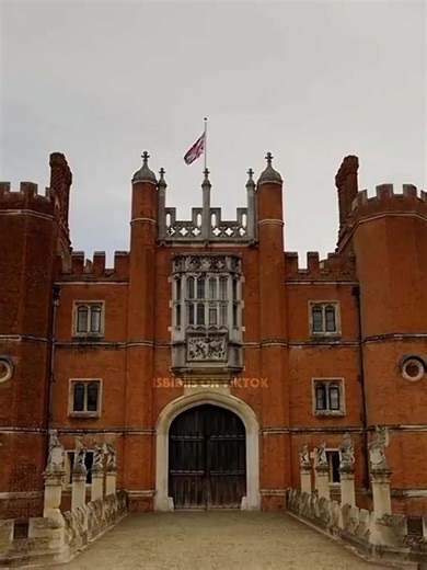 Rainha Charlotte: Uma História de Bridgerton 💎👑 part54🍃🎬🌹 #netflixseries #bridgerton #charlotte #viral #foryou