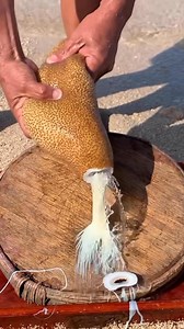 Sea cucumber😍🥰 #greatmaster #videograms #seafoods #Amazing | Great Master