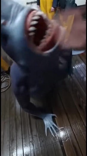 4.9M views · 52K reactions | Epsilon Files on Reels | Facebook