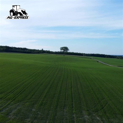 Need help choosing the right tool or machine? 🛠️ If you’re unsure which tool or equipment is best for your project, we’re here to help! Our experts can guide you to make the right choice for your needs, whether it’s for home, farm, or workshop use. Don’t guess, get the right tool the first time! 📩 Contact us today: https://agexpress.ca/pages/contact | Ag-Express