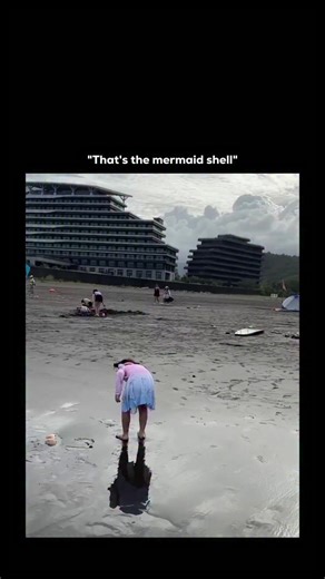 Learnify Society™ | In the video, two young girls are exploring a dark-sanded beach when they stumble upon a pair of large, flesh-colored shells partially... | Instagram