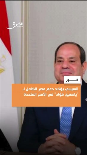 السيسي يؤكد دعم مصر الكامل لـ "ياسمين فؤاد" في الأمم المتحدة