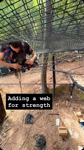 Learning and figuring things out. Started with a full fishnet build, but decided to add a layer of chaos below the main platform to add stability and artistic touch #treenet #treeweb # spacenet #web #trampoline | Charlie's Webs