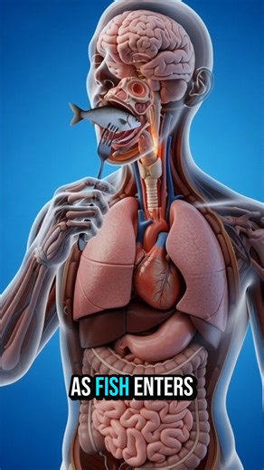 What Happens Inside Your Body When You Eat Fish 🐟 🤯 | 3D Anatomy Breakdown | Health Facts #health