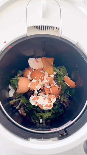 Electric compost 🤍 Linked here https://amzlink.to/az0dYkvKIwpby | Anya Bumag