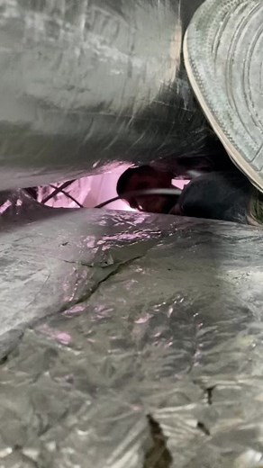 Inspecting a Dimly Lit Crawl Space: A Unique Perspective