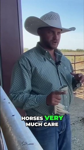 Understanding Horse Behavior: Dominance & Herd Dynamics