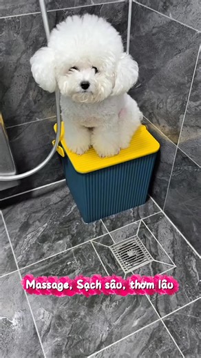 1.6K views · 1.2K reactions | Goon Store on Reels | Facebook