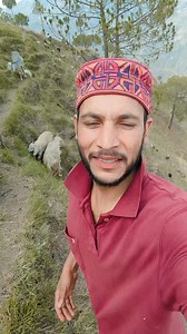 Jis din kamyab Ho jaaoge use din log Bura banaa denge || #reelsvideoシ #newreelslシ #viralreelsfacebookシ #reelsviralシ #StarMaker #StarsEverywhere #facebookreelsviral #reelsviral #facebookreelsvideo #reelsfbシ #facebookreels #facebookviral #facebookvideo #reelsvideo #newreels #viralreelsfacebook | Diwan Himachali Vlog