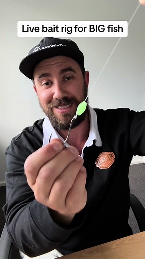 Live bait rig for BIG fish!!! #fishing #fyp #fishinglife #fish #foryou #viral