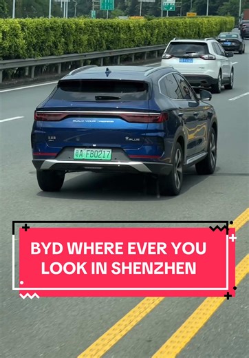 Exploring BYD's Dominance in Shenzhen, China