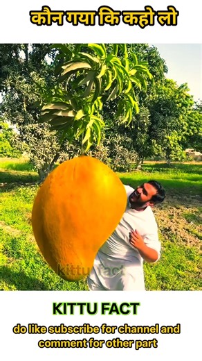 नहीं मालूम इतना बड़ानाम है❌😱Wood working withart handcraft idea/home madereal telent/skill-art