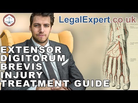Extensor Digitorum Brevis Injury Treatment Guide ( 2021 ) UK