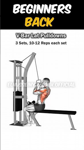 7 Beginners Back Exercises💪| How To Build Wide Back As A beginner?