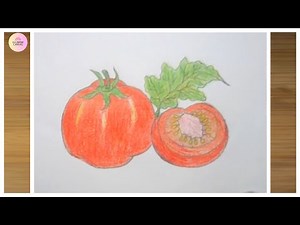 How to Draw a Tomato | Easy Step-by-Step Tutorial for Beginners |