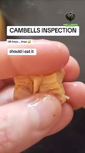 When you open a can of soup… chicken shouldn’t look like this. Perfect layers. Identical shapes. Same gradient all the way through. That’s not how real chicken behaves — that’s how restructured meat is made in factories. Ultra-processed foods are engineered to look consistent, not to be real. This is why chronic inflammation, gut issues, and mystery ingredients are exploding. We’re eating products, not food. Always check what you’re putting into your body. 🎥 unknowingly_disob #ProcessedFood #Ca