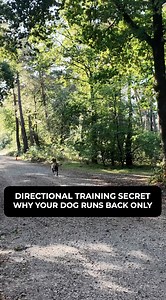 26K views · 388 reactions | ❌Don’t start directional training without...