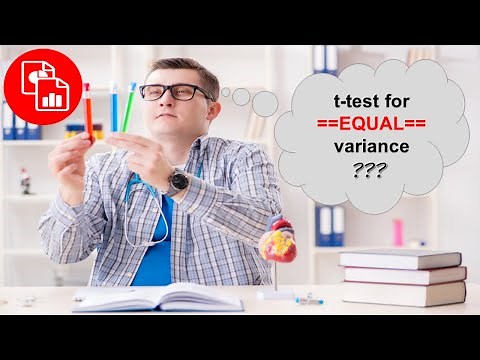 Perform a Two Sample Test in Excel (t-test, equal variances)