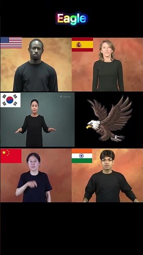 [World Sign Languages] How to Sign for what is having wings in 5 Different Countries #signlanguage
