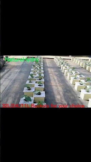 Build a Dutch Bucket Hydroponic System #farming