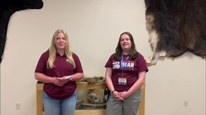 Meet 4 of our summer interns for this year: Bernadette (Minnesota), Emma (New Jersey), Taylor (Wisconsin), and Tiffany (Minnesota). Check back tomorrow to see who our other 4 interns are! --The North American Bear Center offers two unique intern experiences: Bear Educator and Northwoods Ecology Educator internships. Our internship programs are ideal for undergraduate students or recent graduates exploring careers in wildlife biology, zoology, ecology, wildlife management, etc. Check our website 