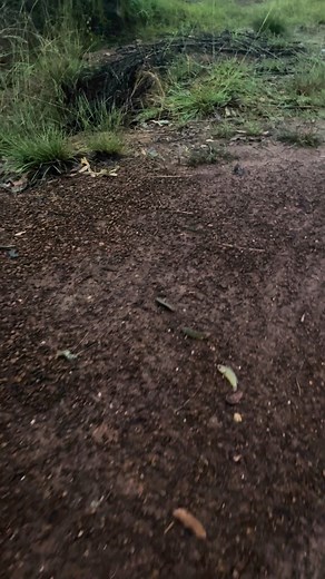 heavy rain | Siem Reap AD