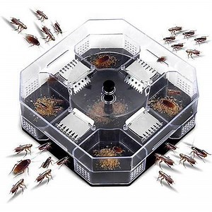 Cockroach Trap Box Reusable Roach Catcher For Indoor Kitchen