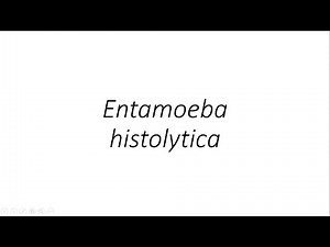 Entamoeba histolytica - Parasitology
