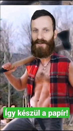 Papírgyártás és a papír újrahasznosítás lépései