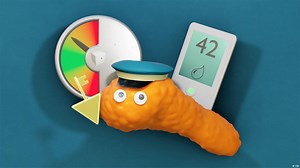 How the pancreas works