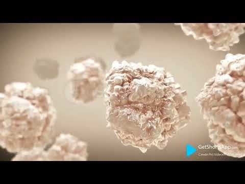 Structure of root hair