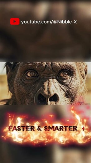 Сверхчеловек: Homo Erectus ⚡️ #shorts #история #эволюция #историяземли #кино #экзопланеты