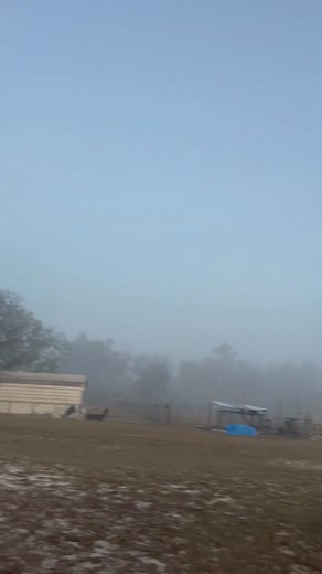 Good morning Madison Fl | Whitefarm