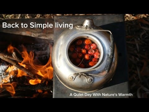 “Making Rosehip Tea: Easy & Healthy 🍃✨”