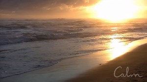 Breathe deeply. Repeat. Take a moment to let go with the #DailyCalm | Calm