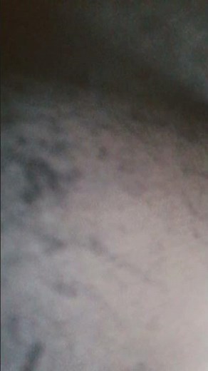 22 de noviembre de 2025