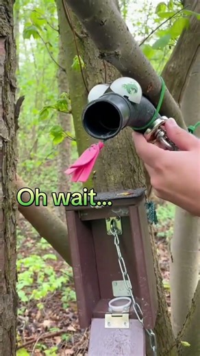 🐍 Eek! A #geocache! 🐍