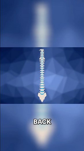 What Does Your Backbone Do? | Acellus Grade 2 #ScienceForKids #STEM #FunLearning