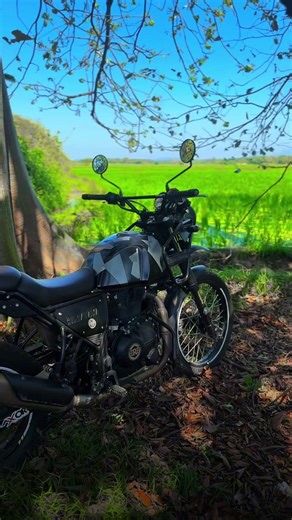 halena by himalayan #bike #automobile #fypシ #himalayantrip #bikeride #love #travel #ridelife #gopro