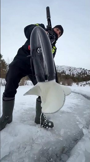 Mugical Nature 😯 Part-3