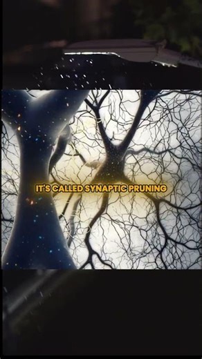 Synaptic pruning