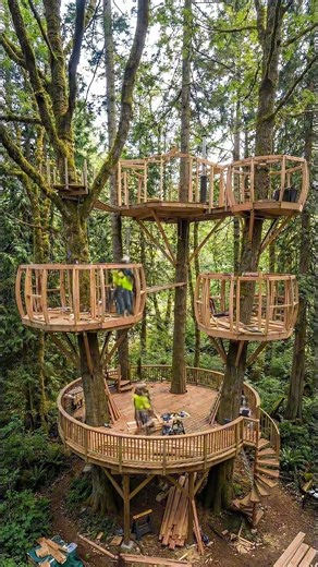 Building a Real Treehouse Village in the Forest.