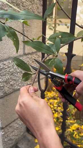 #SteelScissors #SteelCutting #HighPerformanceUtilityTool | Hardware tools