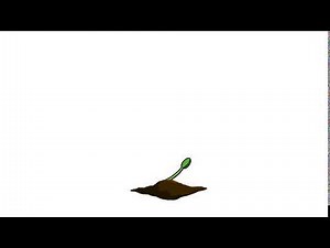 A growing plant | small Animation