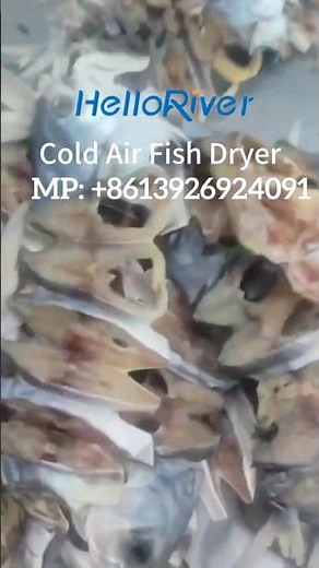 Cold-Air Heat Pump Fish Dryer: Perfect for Drying Seafood at Low Temperature the Ultimate Fish Dryer
