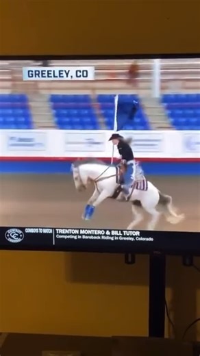 Horse Nation on Instagram: "When the flag ceremony suddenly becomes the FIRST bronc ride of the night… #goriding #goriding2025 #rodeo #grandentry #bronc"