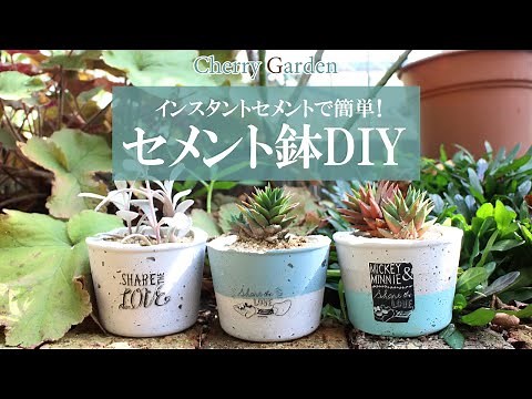 【セメント鉢DIY】100均のインスタントセメントを使って、クールなセメント鉢を作る