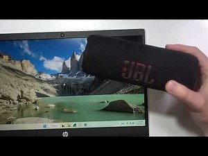 How to Connect JBL Flip 7 to PC Wired!