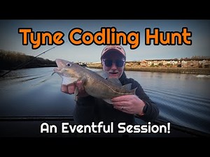 Codling Hunt On The River Tyne | North East Sea Fishing