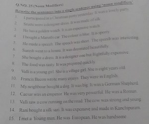 Rewrite the sentences into a single sentence using noun modifie... | Filo
